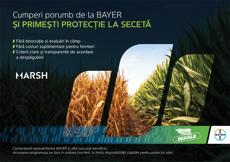 Soluție concretă împotriva secetei: Bayer și Marsh oferă protecție ...